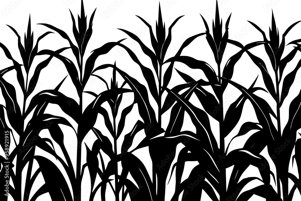 Maize field silhouette. Corn farm black vector illustration ...