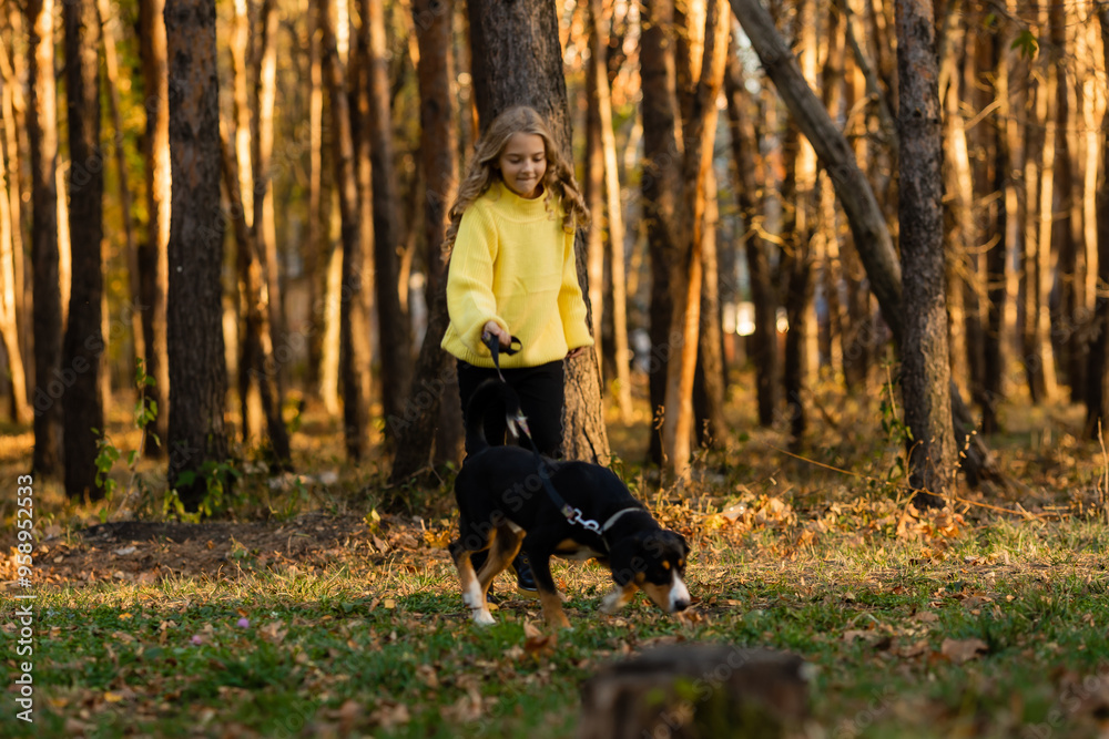little teenage girl walks with her dog in the autumn in the forest ...