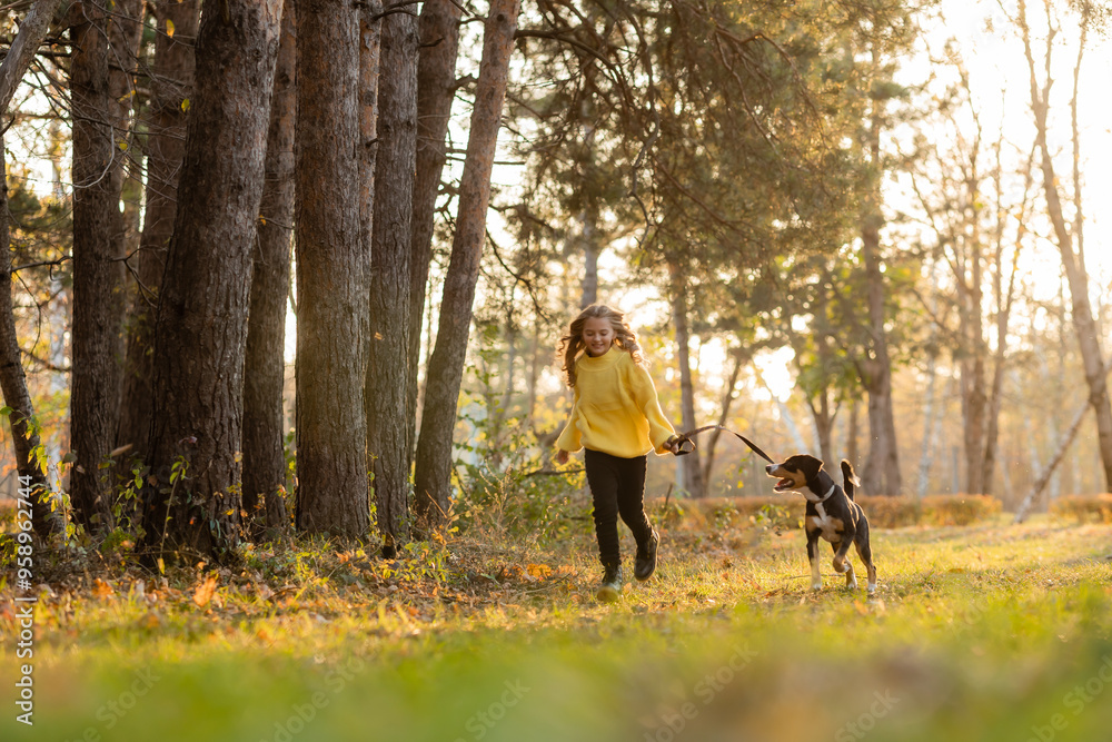 little teenage girl walks with her dog in the autumn in the forest ...