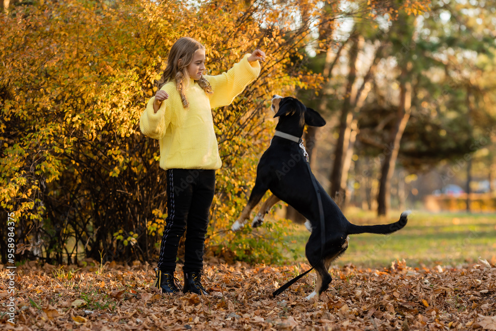 little teenage girl walks with her dog in the autumn in the forest ...