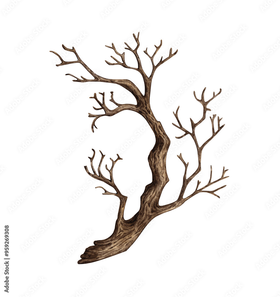 Tree without leaves, with dry bare branches watercolor illustration ...