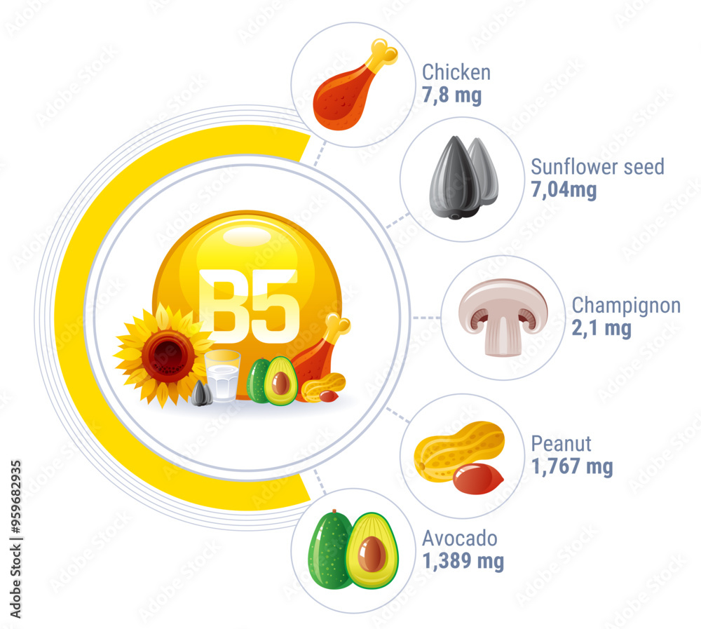 Healthy nutrition icons with vitamin B5 sign. Medical infographic with ...