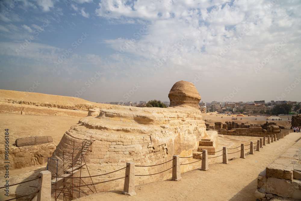 Sphinx Egypt portrait. Portrait of the Great Sphinx of Egypt close ...