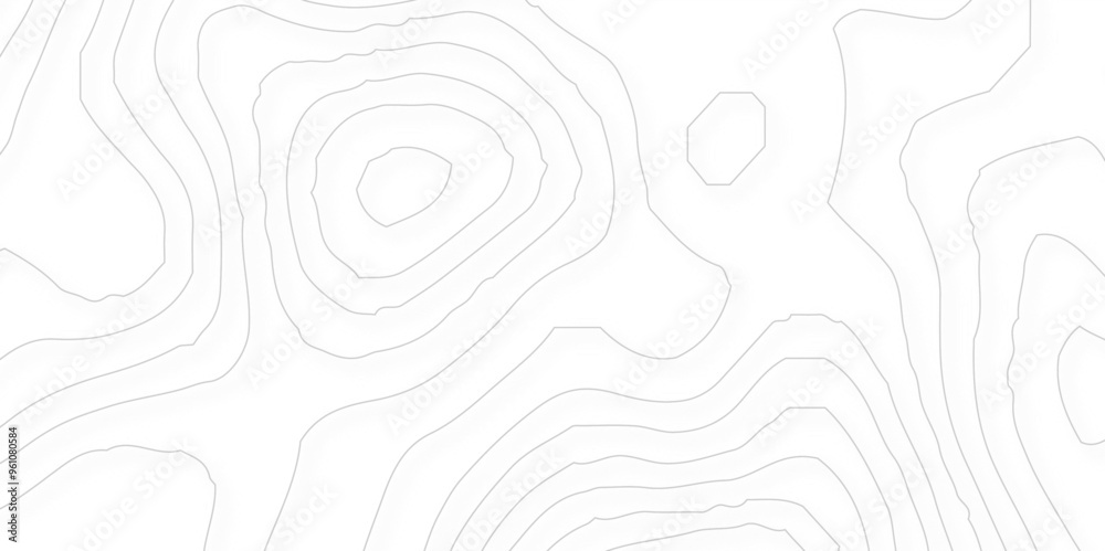 The concept of a conditional geography scheme and the terrain path ...