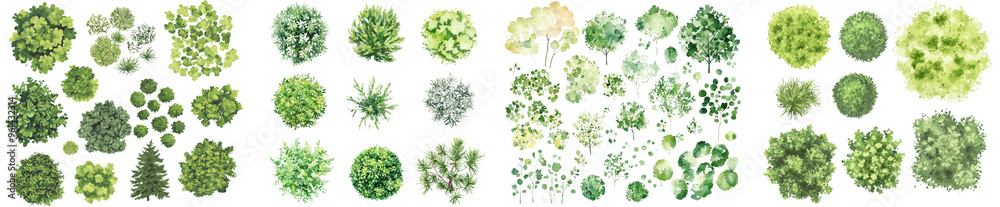 Landscape plan and architecture layout watercolor tree top view Stock ...