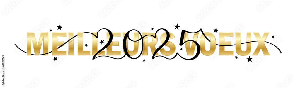 Fotografia MEILLEURS VOEUX 2025 (HAPPY NEW YEAR 2025 in French ...