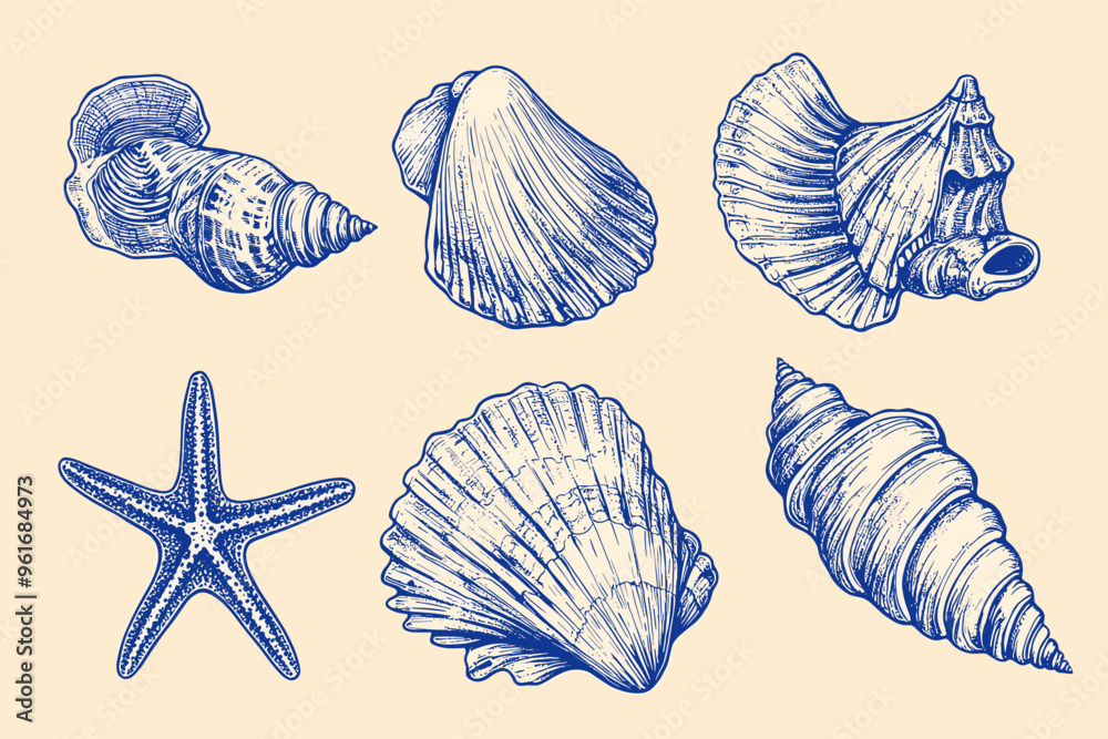 Minimalist hand drawn seashells vector illustration collection. Art for ...