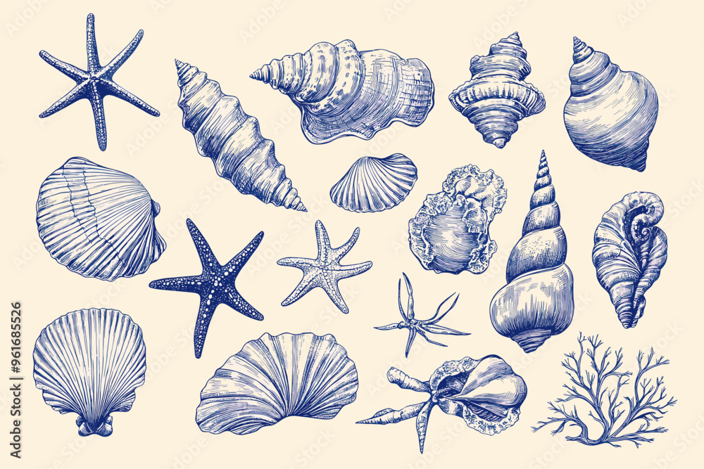 Minimalist hand drawn seashells vector illustration collection. Art for ...