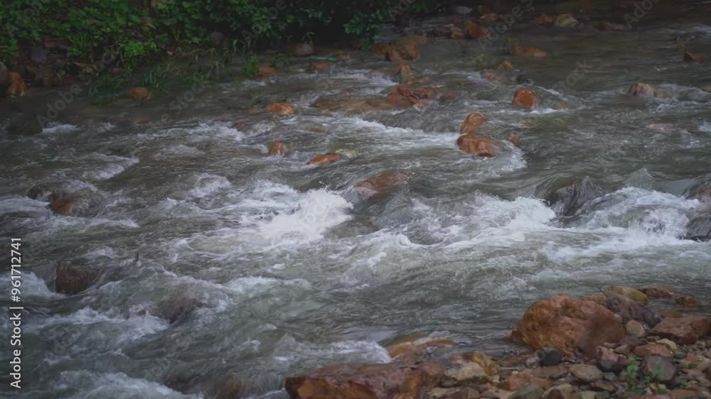 Flowing River Through Forest Stream, Calm River with Rocky Bed, River ...