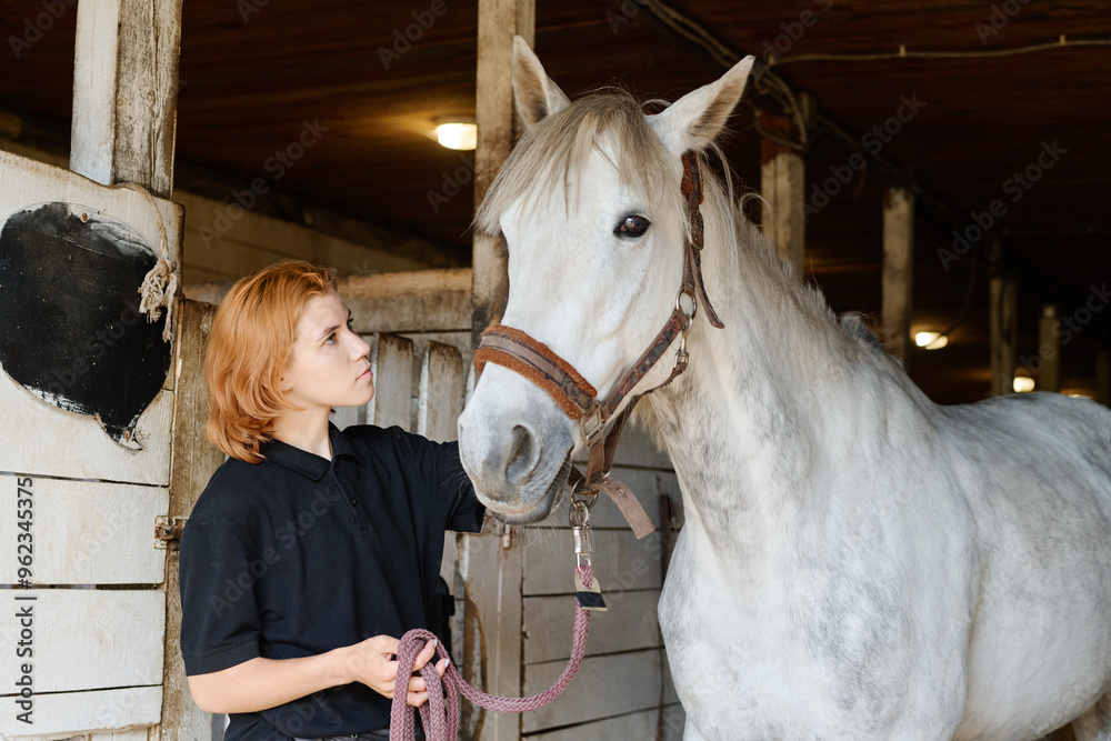 Person holding rope while standing next to horse in stable. Scene ...