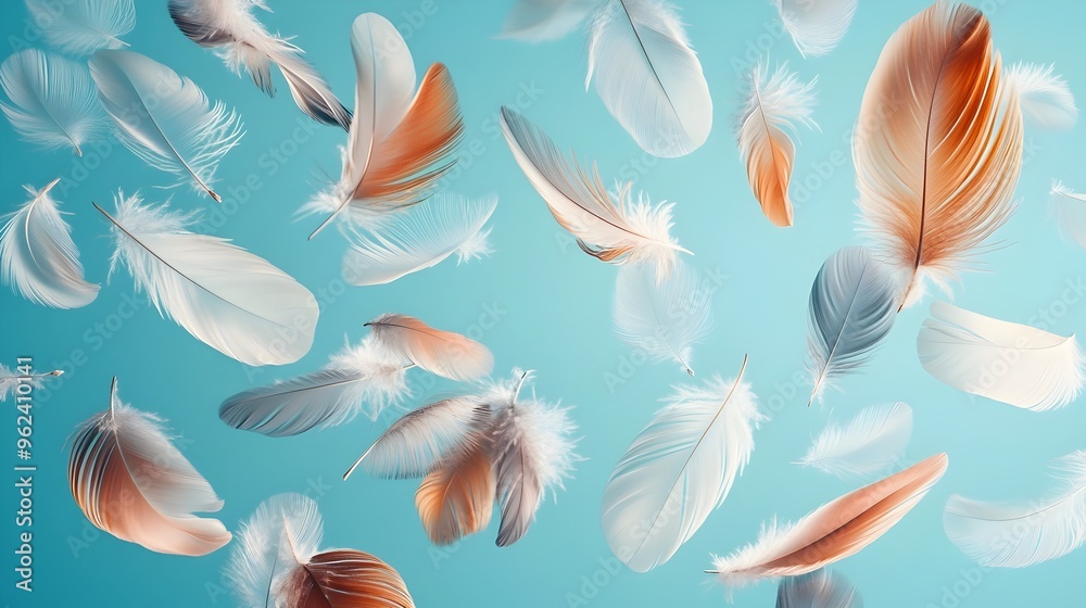 Conceptual artwork depicting an array of feathers of various sizes and ...