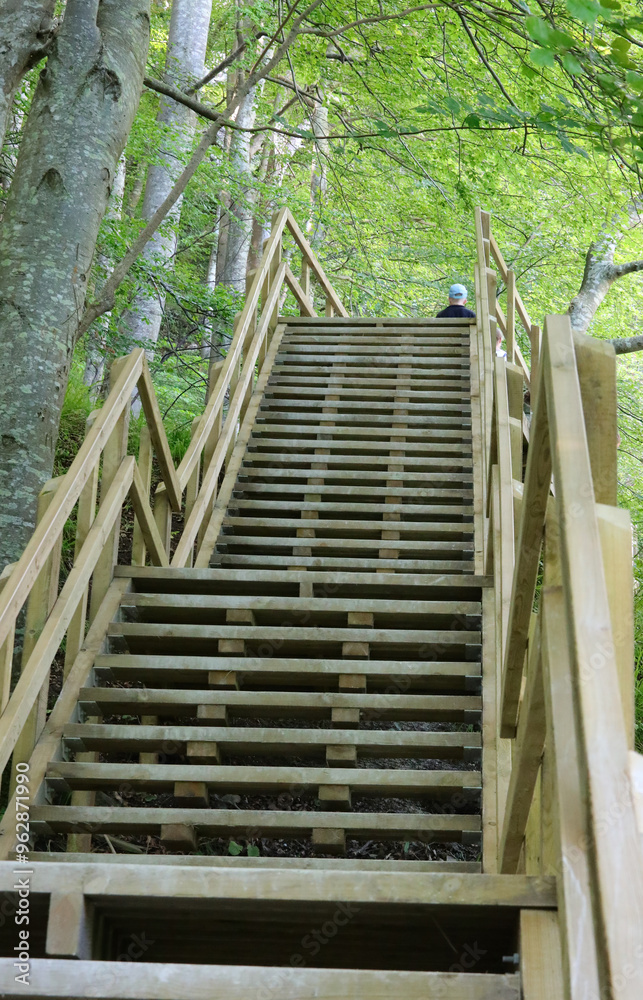 very long wooden staircase in the middle of the forest to reach the ...