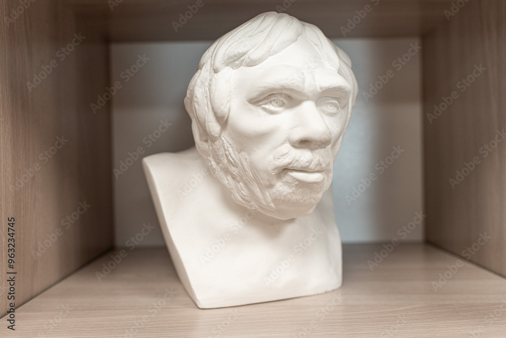 A model of an ancient man made of plaster on a shelf. Study of human ...