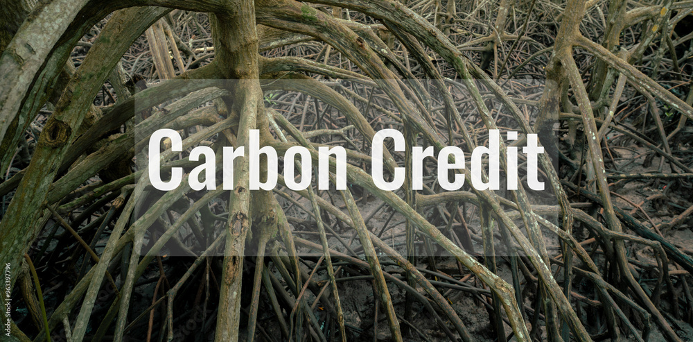 Carbon credit concept. Mangrove forests as natural carbon sinks. Blue ...