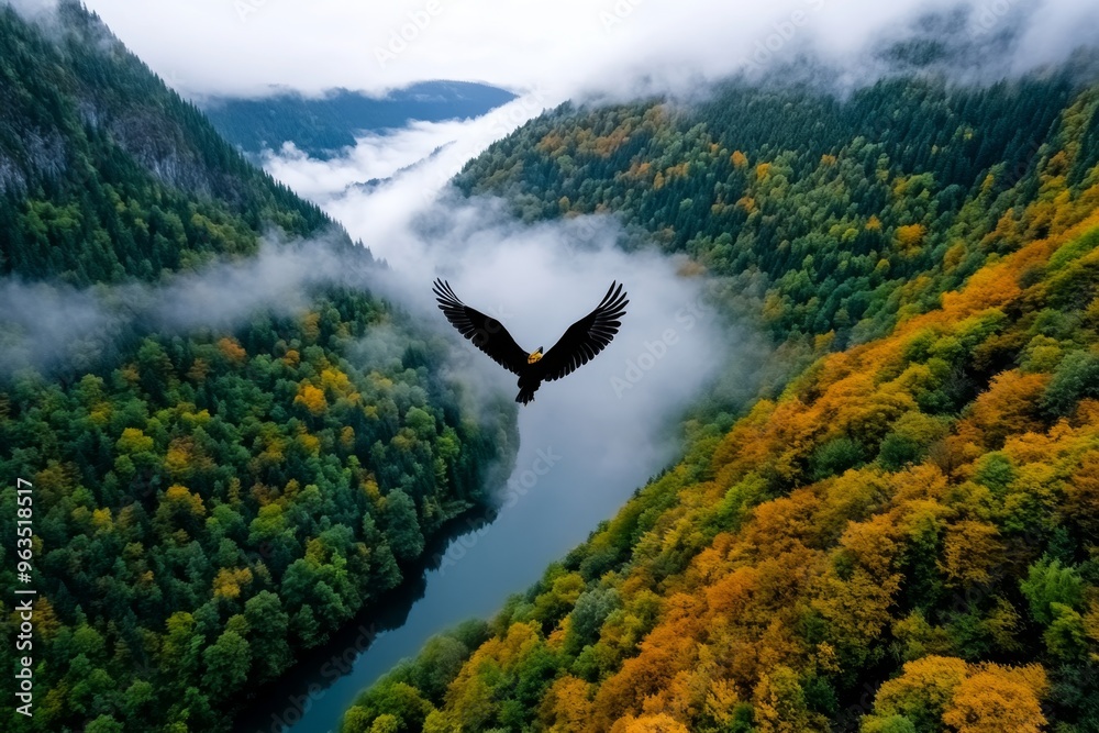 Bird flying through the mist, disappearing into the fog as it moves ...