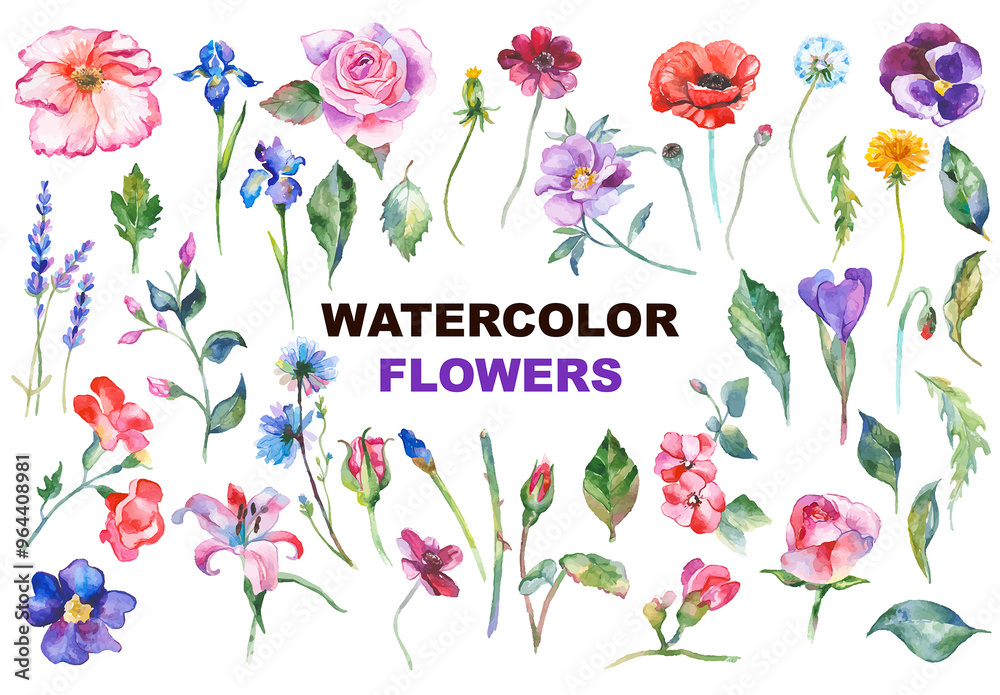 Watercolor painted collection of flowers. Hand drawn flower design ...