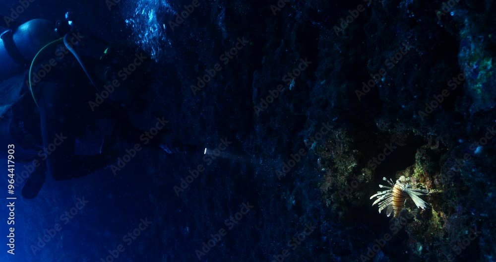 cave diving underwater exploring caves ocean scenery sun beams and rays ...
