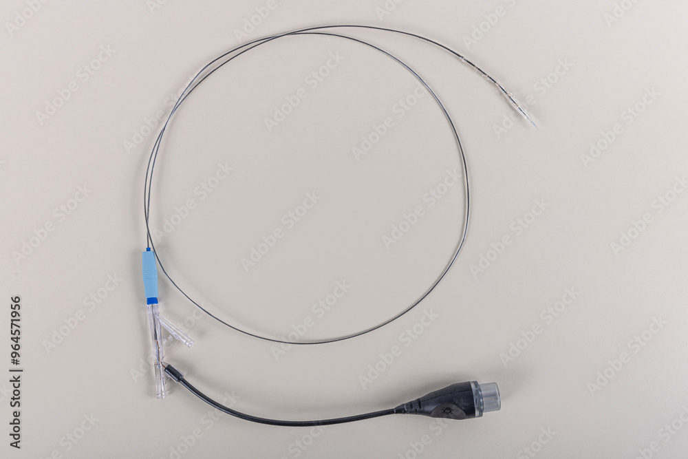 Heart Stent angioplasty. Stent and catheter for implantation into blood ...