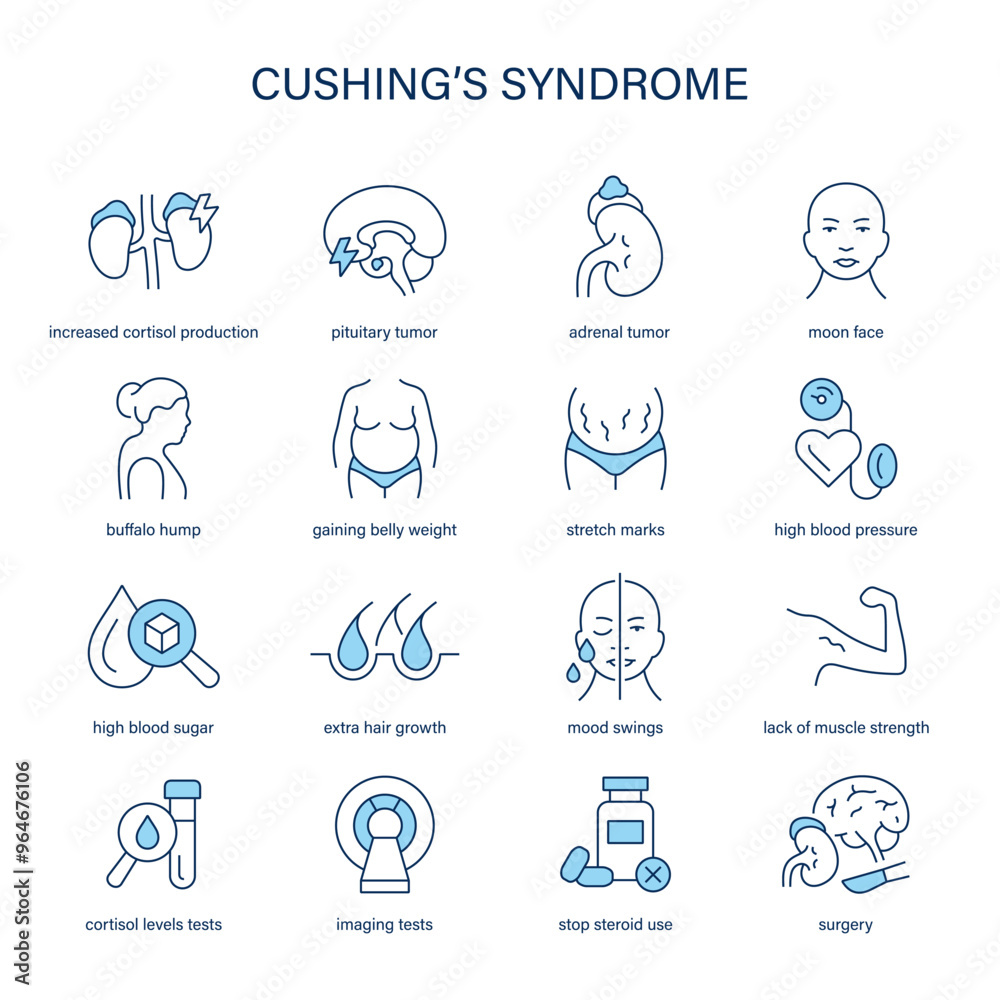 Cushing's Syndrome symptoms, diagnostic and treatment vector icons ...