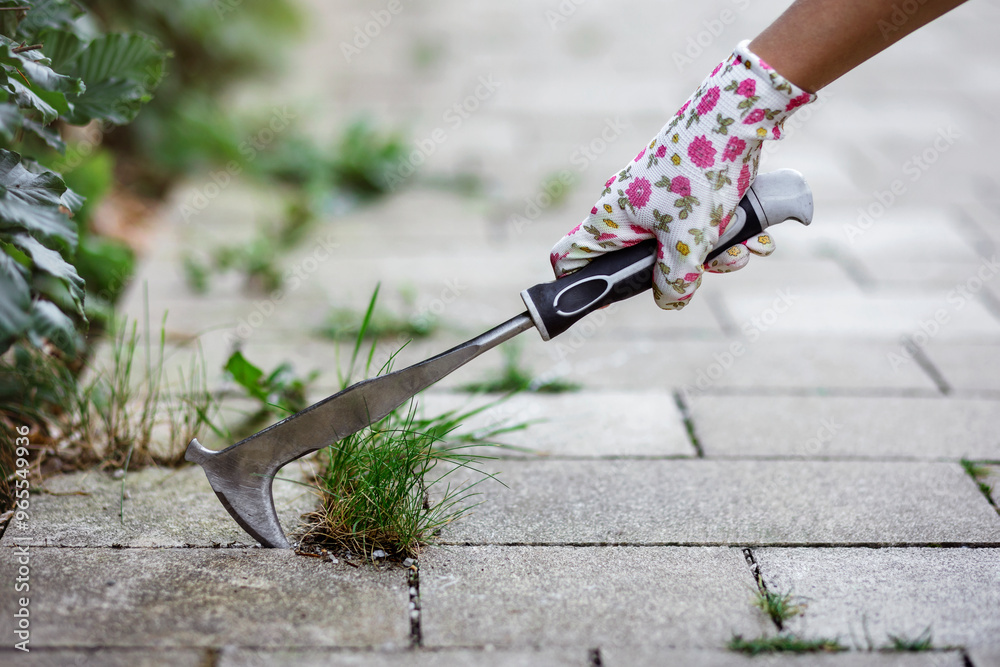 Remove Weeds From Paving Slabs And Patios Using Weeding Knife. Problem ...
