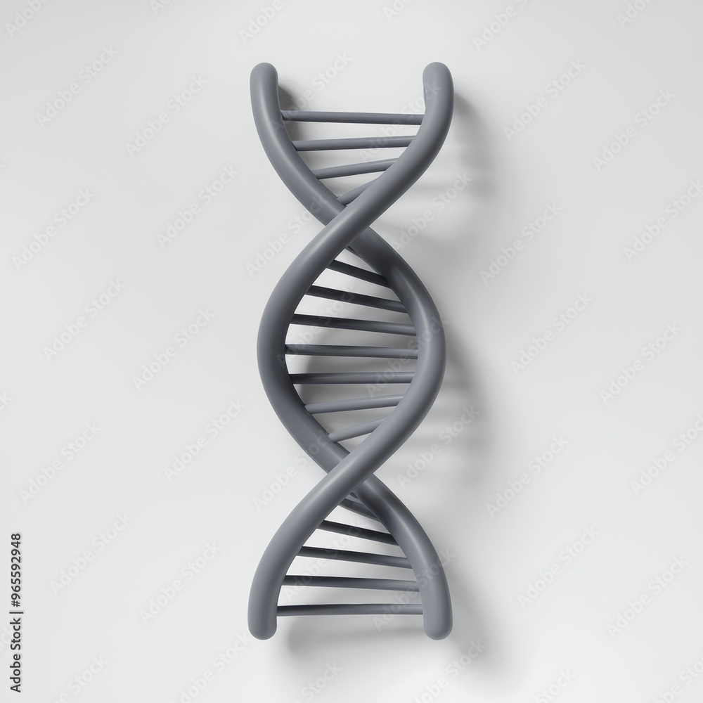 A 3D representation of a DNA double helix in gray, showcasing the ...