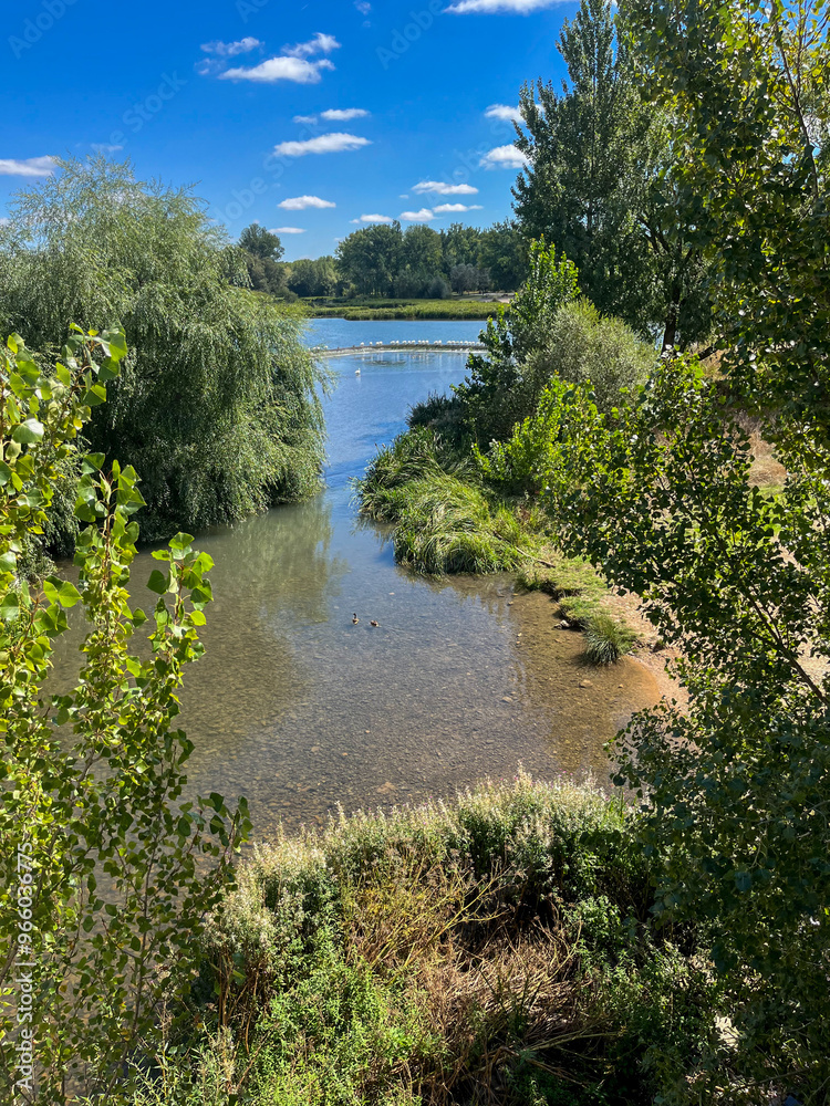 CAUCE DE UN RÍO. EL RÍO PASA ENTRE VEGETACIÓN. LAS AGUAS SON TRANQUILAS ...