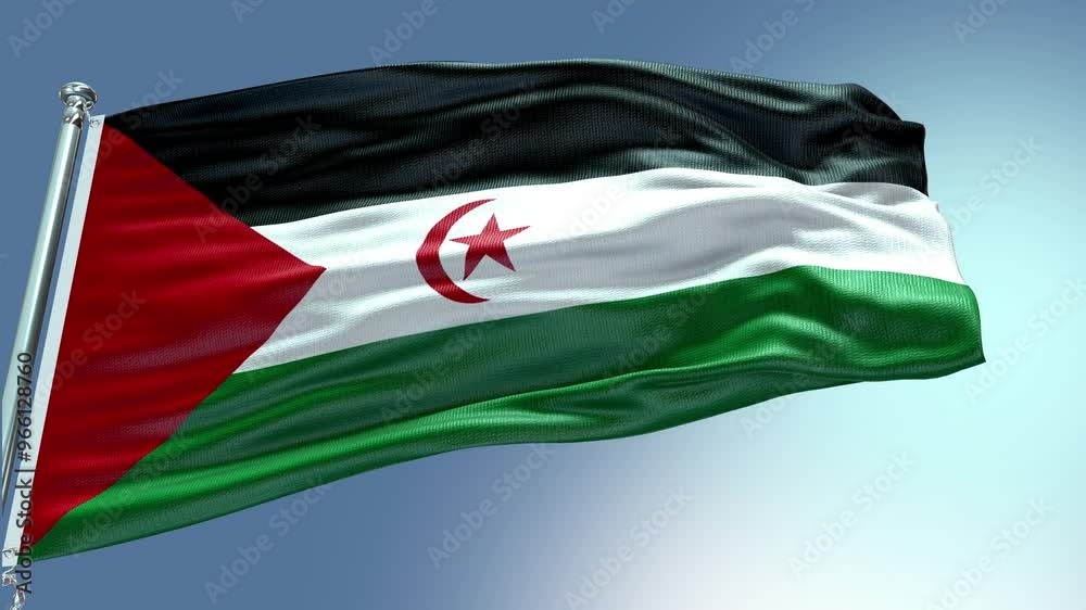 4k render Western Sahara Flag video waving in wind Western Sahara Flag ...