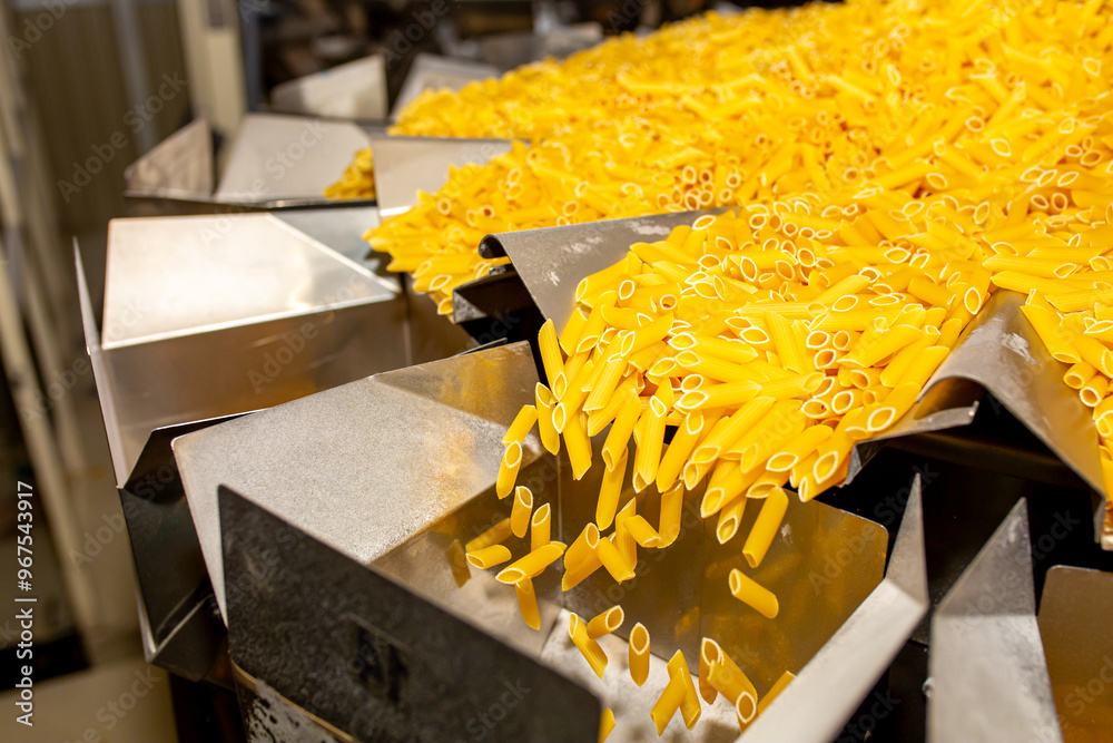 Pasta factory. Close-up of raw pasta on machines and conveyor. Pasta ...