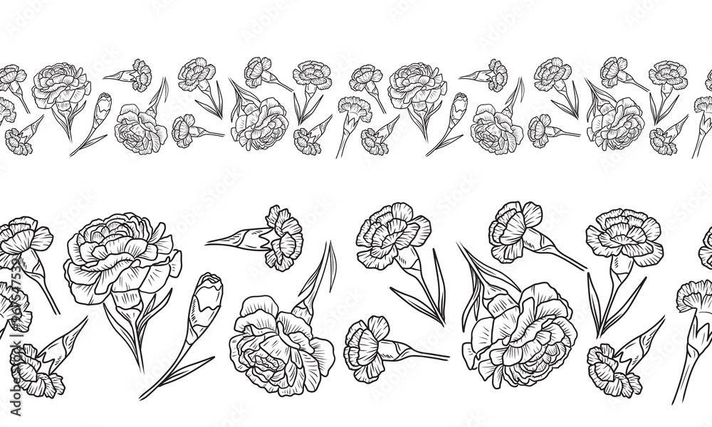 Vector seamless border with carnation flowers and buds in black on ...