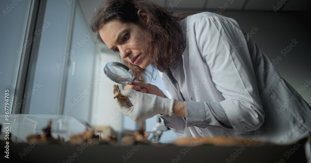 Female scientist works with specimen collection of fossil remains in ...