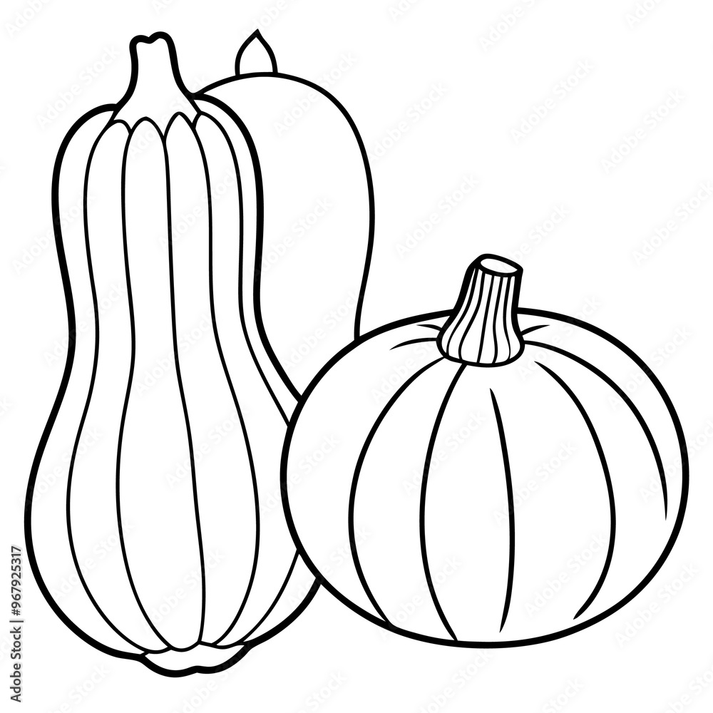 butternut squash acorn squash spaghetti squash vegetable outline ...
