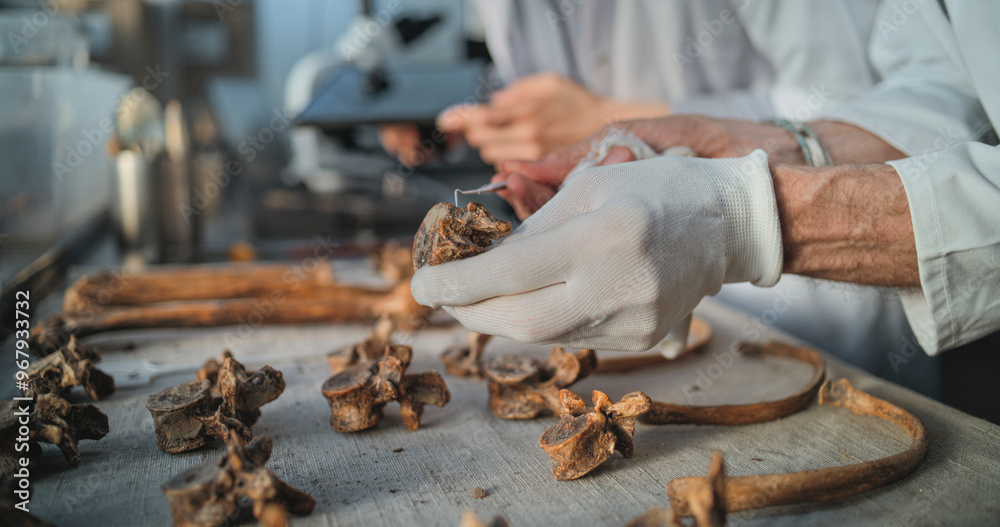 Two archaeologists work in advanced archaeological lab. Mature ...