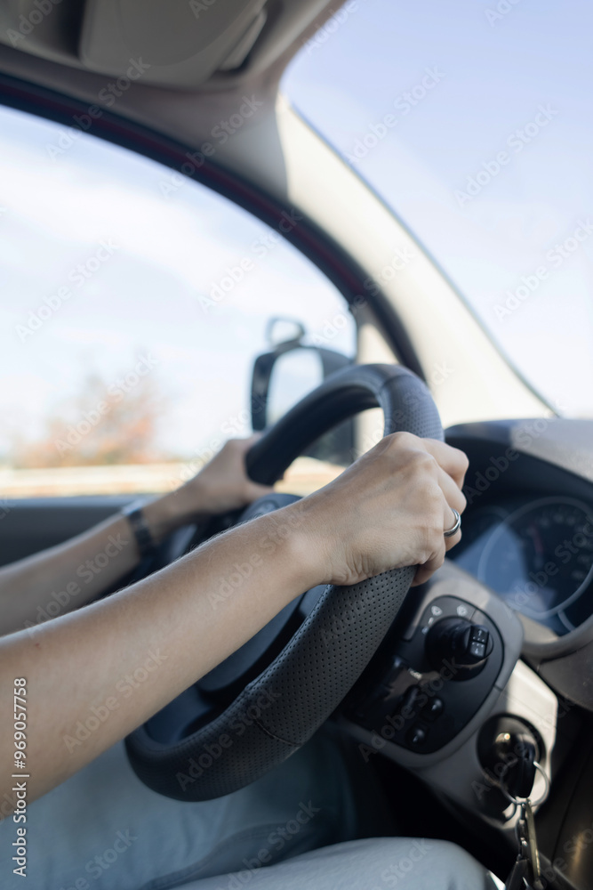 A woman drives a car and looks intently at the track. The navigator on ...