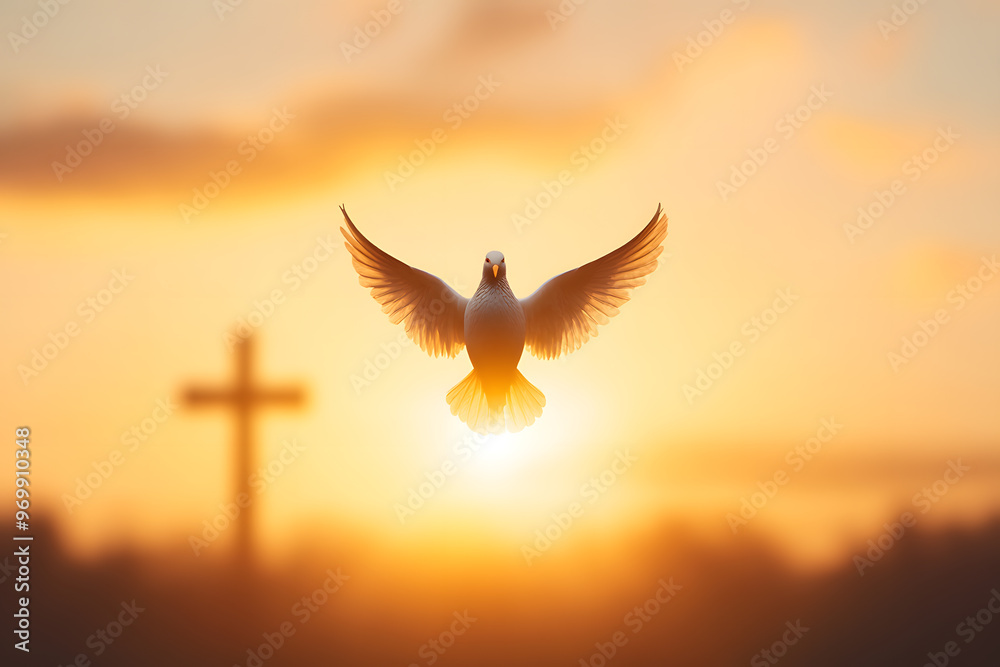 Divine Representation of the Holy Spirit as a Dove, Religious Symbolism ...