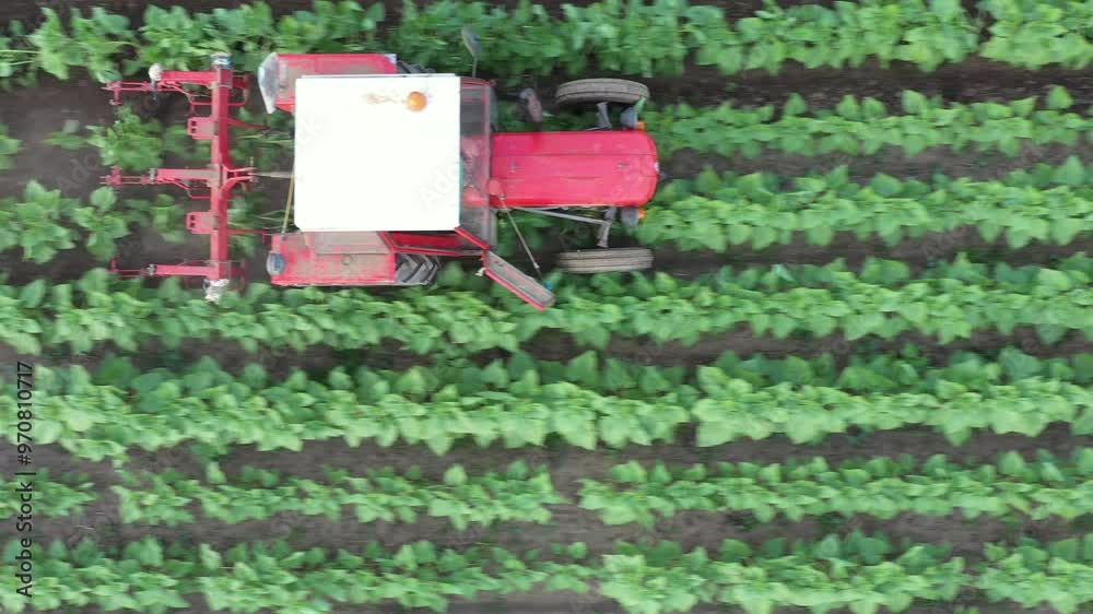 Above top view, dolly move over agricultural farm field, farmer in ...