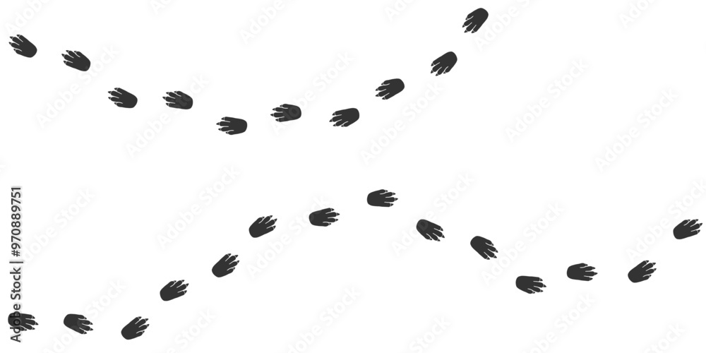 Footprints of Domestics Animal, Traces of a guinea pig on white ...