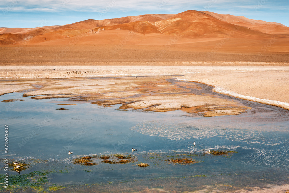The wetlands of the Quebrada de Quepiaco River in Chile's altiplano ...