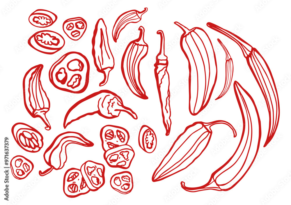 Hand drawn chili pepper, line art vector isolated set. Chili pepper ...