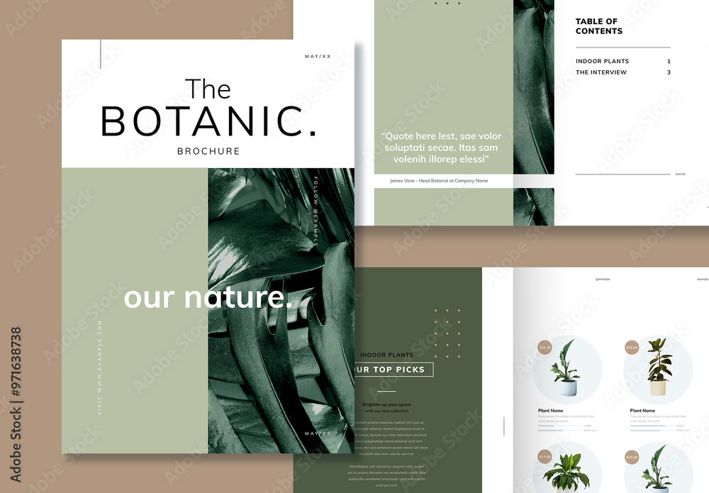 Modern and Clean Botanical Brochure Stock Template | Adobe Stock