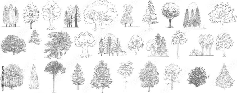 Minimal style cad tree line drawing, Side view, set of graphics trees ...
