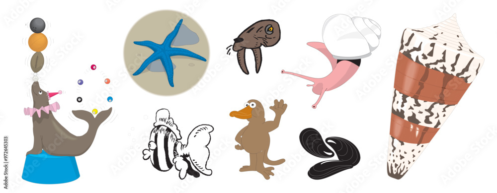 Water Sea Creaters fishes fish cone Carnival Sea Lion star Animals ...