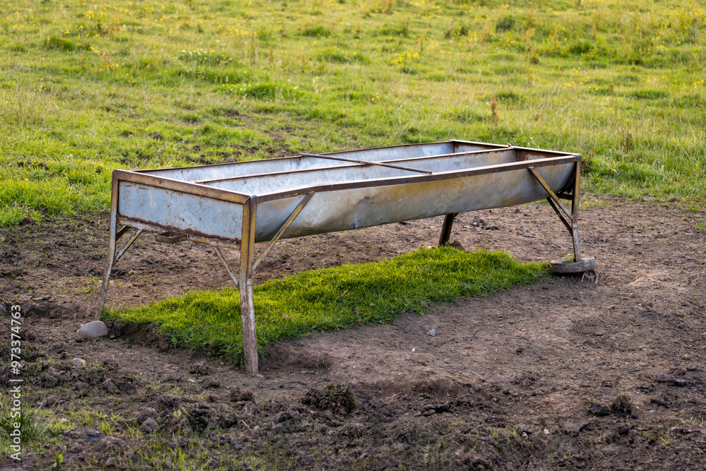 Galvanized cattle feeding trough on steel legs in grass farmers field ...