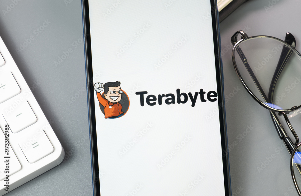 New York, USA - 30 August 2024: Terabyte Logo on Phone Screen, Company ...