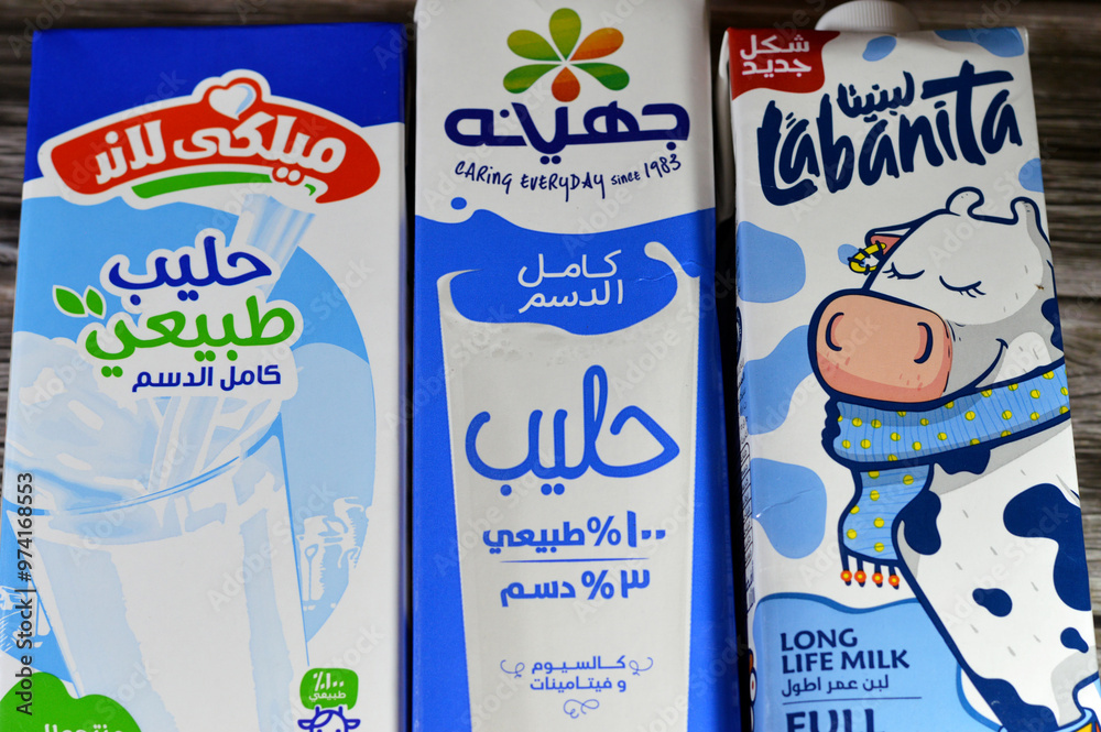 Cairo, Egypt, August 31 2024: Juhayna, Labanita and MilkyLand full fat ...