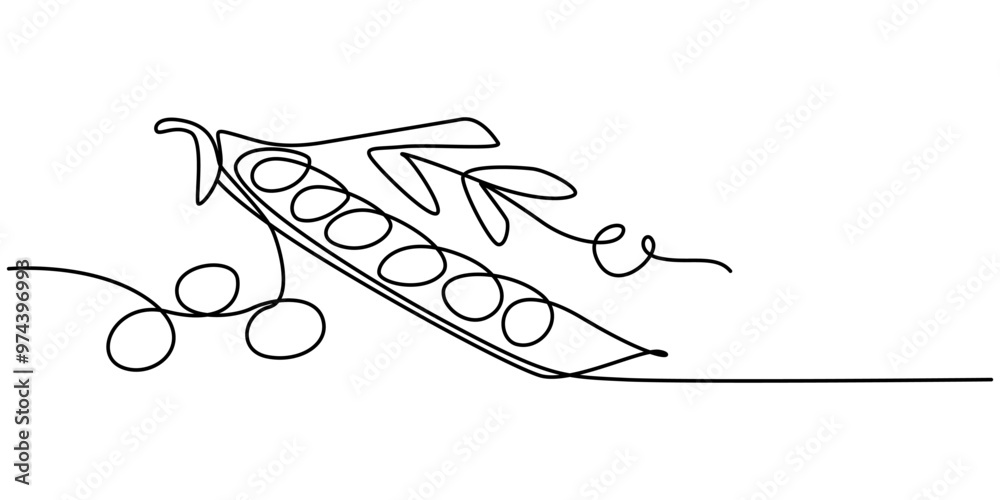 Fava beans simple color vector illustration. One continuous line art ...