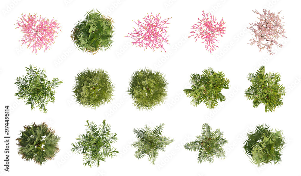 set of trees rendered from the top view, 3D illustration, for digital ...