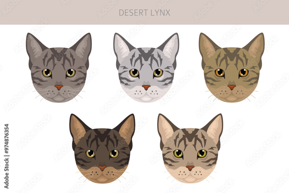 Desert Lynx Cat clipart. All coat colors set. All cat breeds ...