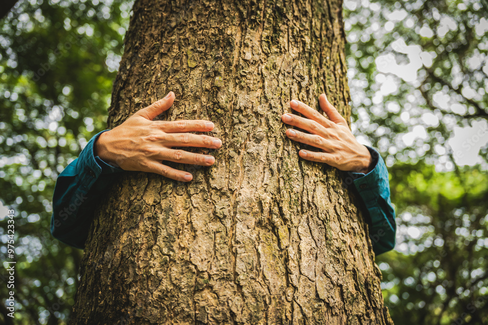 Forest conservationist gentle hugs tree in sunny park, deep care and ...