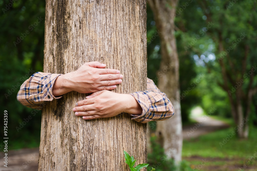 Forest conservationist gentle hugs tree in sunny park, deep care and ...