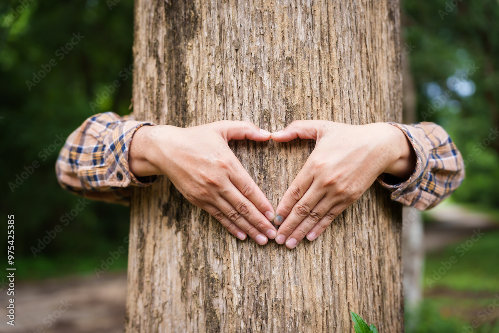Forest conservationist gentle hugs tree in sunny park, deep care and ...
